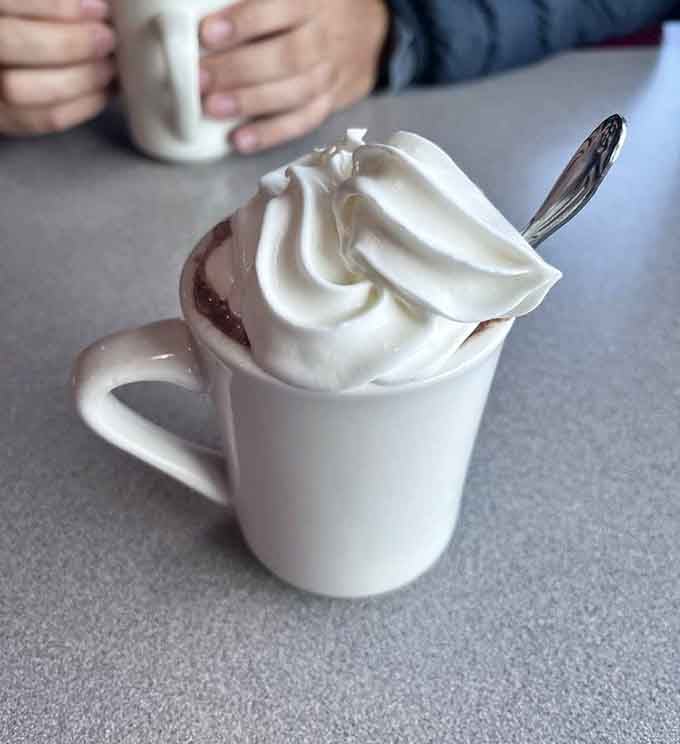 Hot chocolate topped with whipped cream this generous makes you feel like a kid again, instantly.