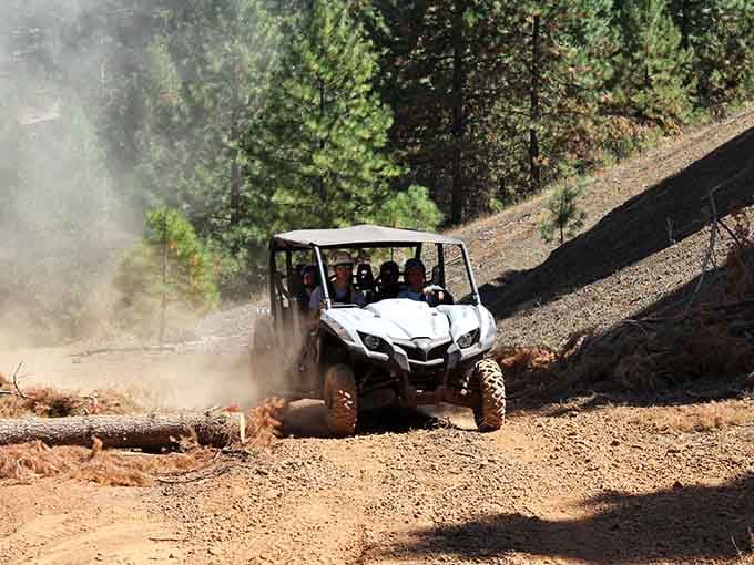 UTV adventures kick up dust and adrenaline, proving there's more than one way to get thrills in these woods.