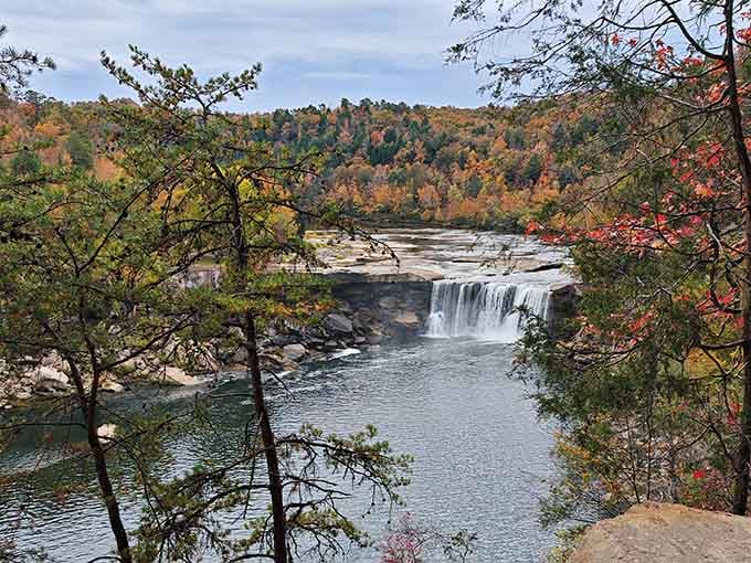 Fall transforms the gorge into a living postcard that makes you wonder why anyone bothers with stock photography.