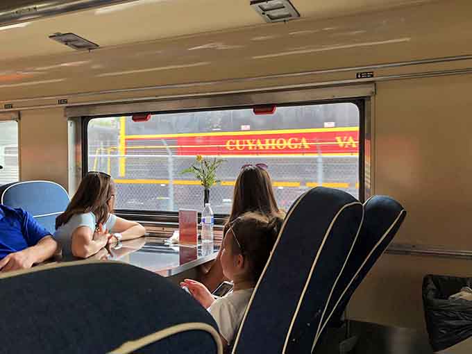 Families gather trackside as the steam engine approaches, creating memories that'll outlast any smartphone photo.