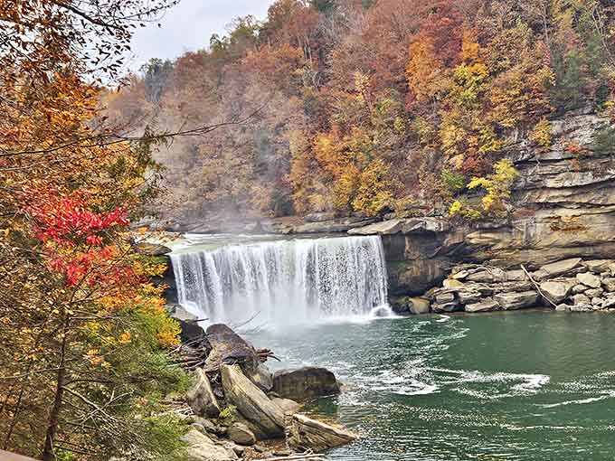 Cumberland Falls in autumn glory, where thousands of gallons thunder over the edge every second into that turquoise pool below.