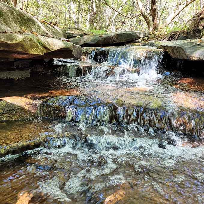The creek continues its journey downstream, completely unbothered by whether anyone's watching or taking photos.