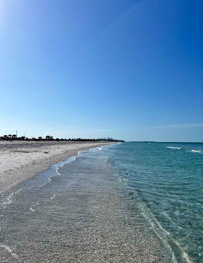 Crystal-clear waters so inviting, even your inner couch potato starts considering a swim workout routine.