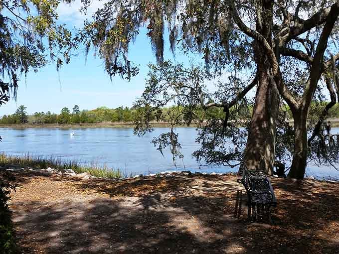 Spanish moss and river views create that quintessential South Carolina scene that never gets old, no matter how often you see it.