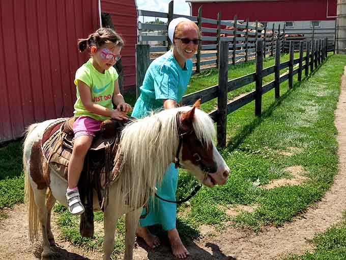 That flowing mane and patient demeanor make this pony the perfect introduction to horseback riding for the next generation of animal lovers.