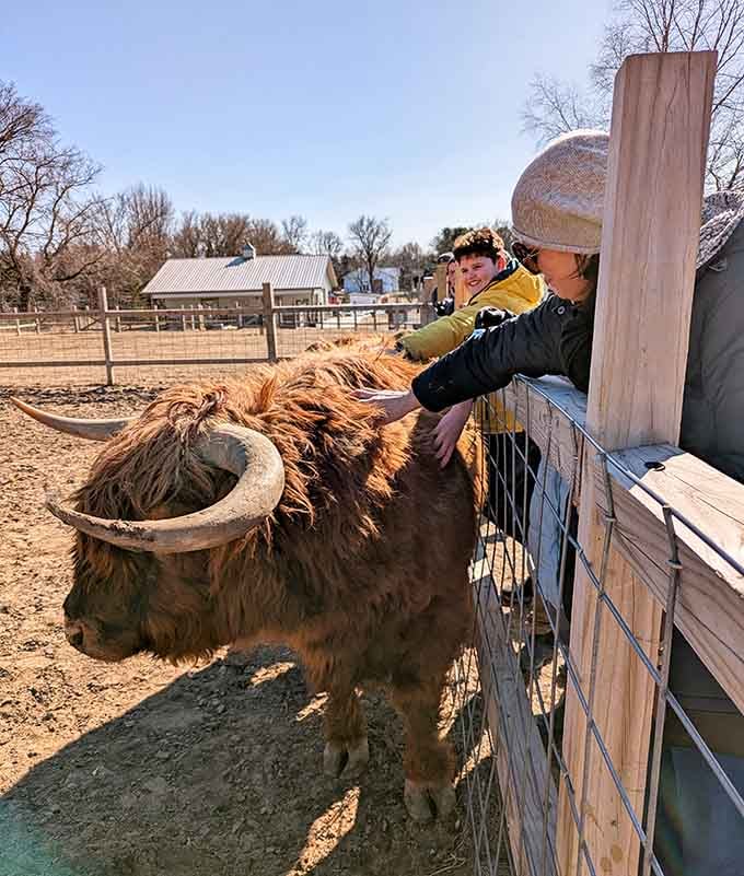 That Highland cow's magnificent hairdo puts every salon visit to shame, and the little one agrees.