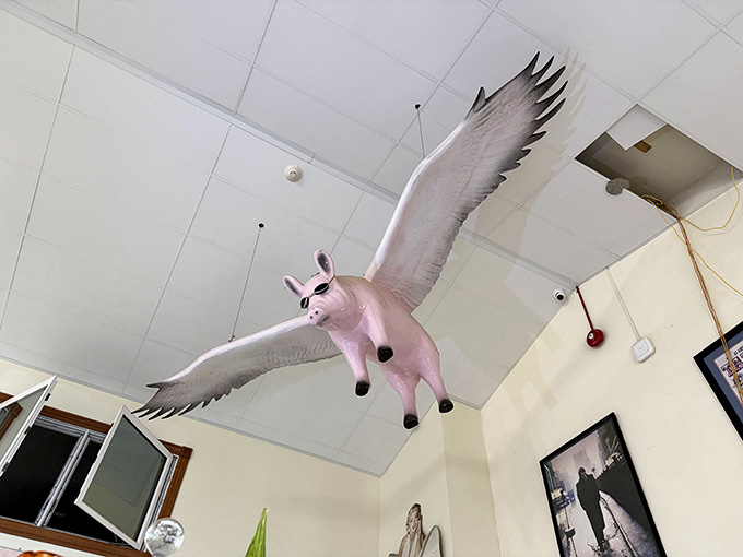Yes, that's a flying pig hanging from the ceiling, because this place understands that whimsy belongs in everyone's life.