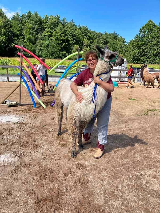 When you find a llama this huggable, suddenly all your problems seem remarkably small and completely manageable now.