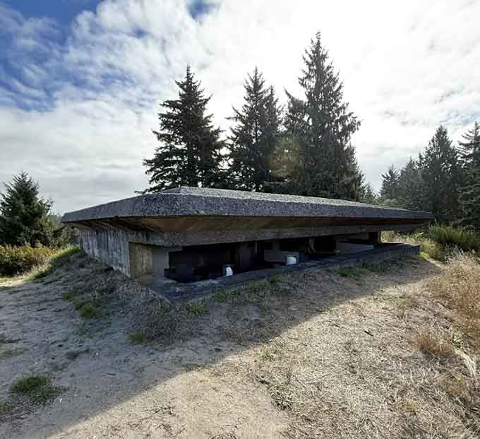 An observation bunker that's given up observing anything except the slow, patient work of moss and time doing their thing.
