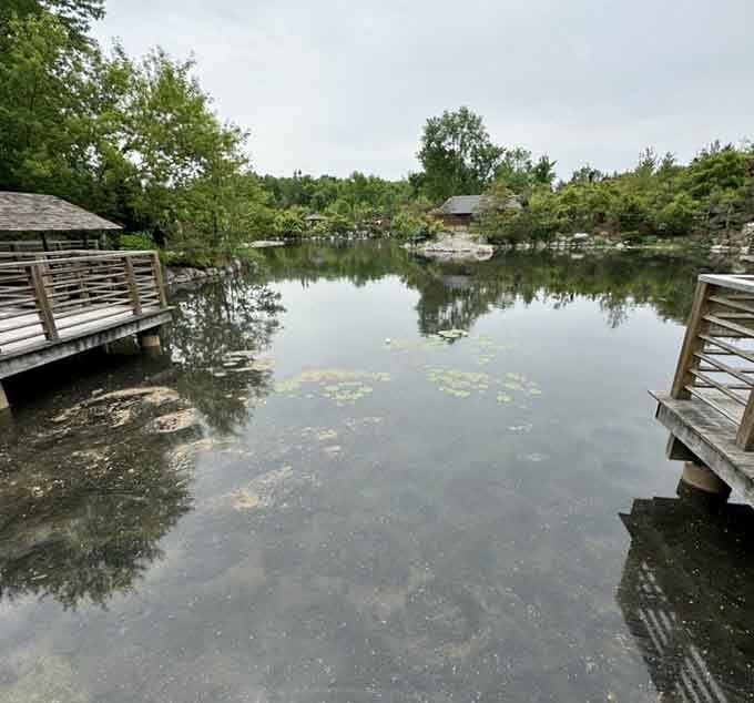 Peaceful waters mirror the sky in a Japanese-inspired setting that practically whispers "slow down and breathe."