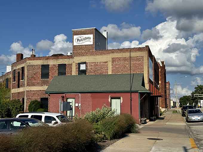 Weathered brick and industrial bones tell stories of Galesburg's hardworking past, standing resilient through changing times and seasons.