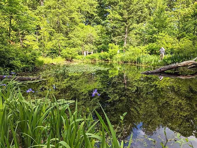 The pond reflects everything perfectly, creating that mirror effect that makes you stop walking and just stare like a tourist.