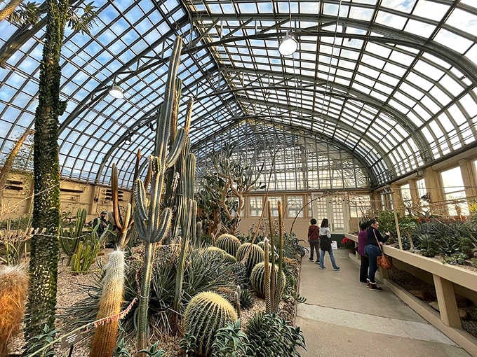 The Desert House proves that even cacti deserve their moment in the spotlight under soaring glass arches.