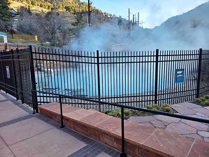 Morning steam rising off the pool like nature's own special effects department showed up.