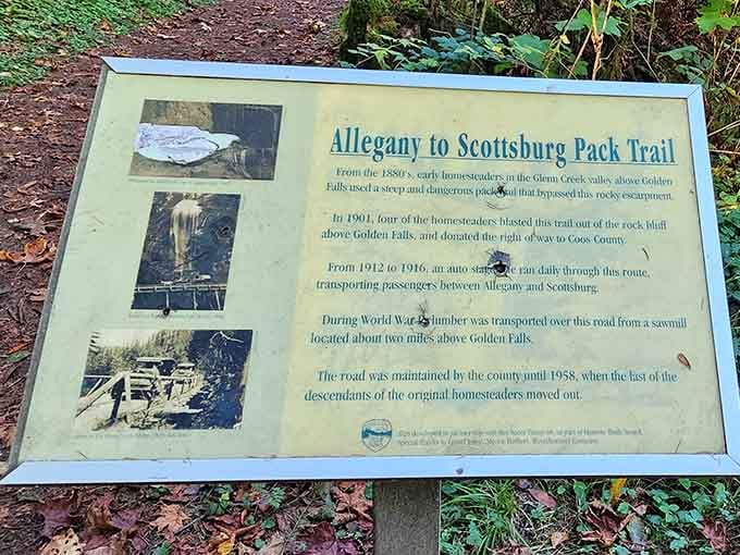 Historical markers tell stories of pioneers who blazed these trails, making today's hike feel like a walk through time.