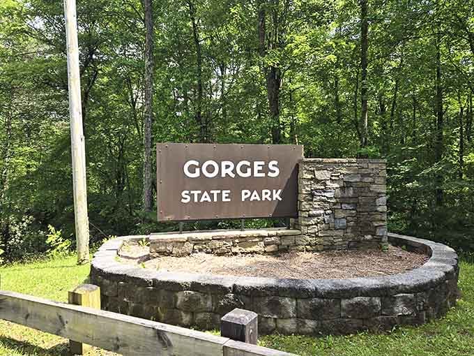 Welcome to Gorges State Park, where the sign is simpler than the terrain you're about to explore.