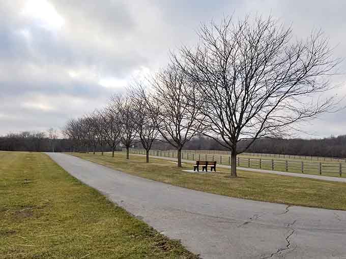 Infirmary Mound Park connects you to 2,000 years of history without requiring a time machine or DeLorean.