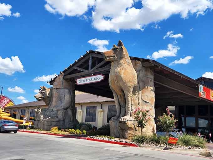 Great Wolf Lodge's entrance features wildlife sculptures so impressive, you half expect them to start moving around.