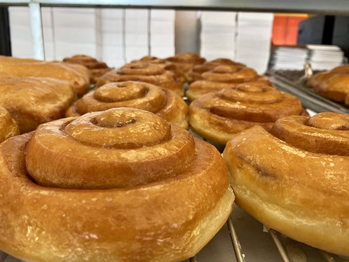 Fresh cinnamon rolls lined up like sweet, spiraled soldiers ready to make your morning infinitely better than it was.