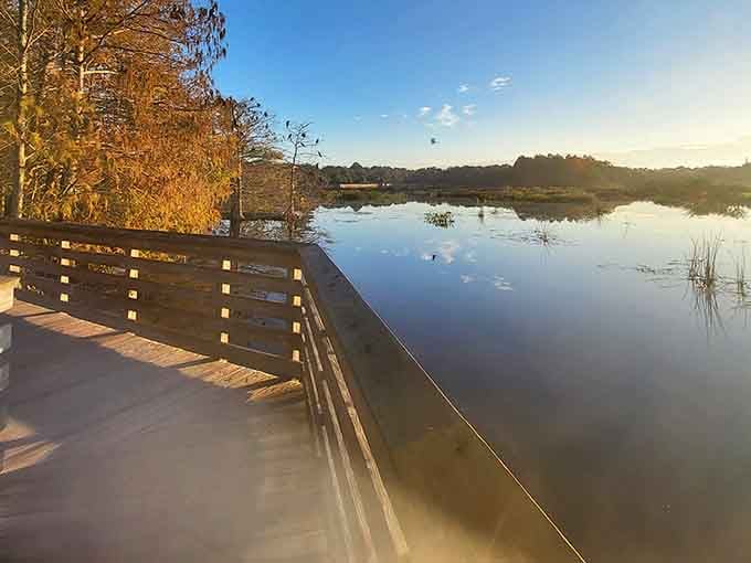 Sunset reflections on calm waters create mirror images that make you question which way is actually up.