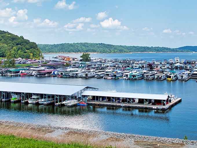 The bustling marina showcases an impressive fleet of houseboats and watercraft ready to help you explore every hidden cove.