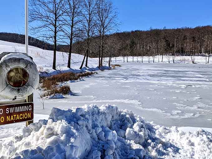 Winter transforms the lake into a frozen postcard, reminding you that beauty doesn't take a seasonal vacation in Maryland.