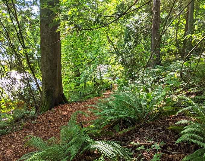 Forest trails wind through ferns and towering trees, offering the kind of peaceful walks that clear minds and refresh souls.