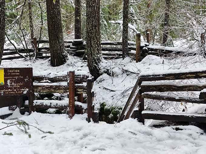 Winter transforms the entrance into a snow-dusted gateway, making the frozen caves below feel almost redundant but doubly magical.