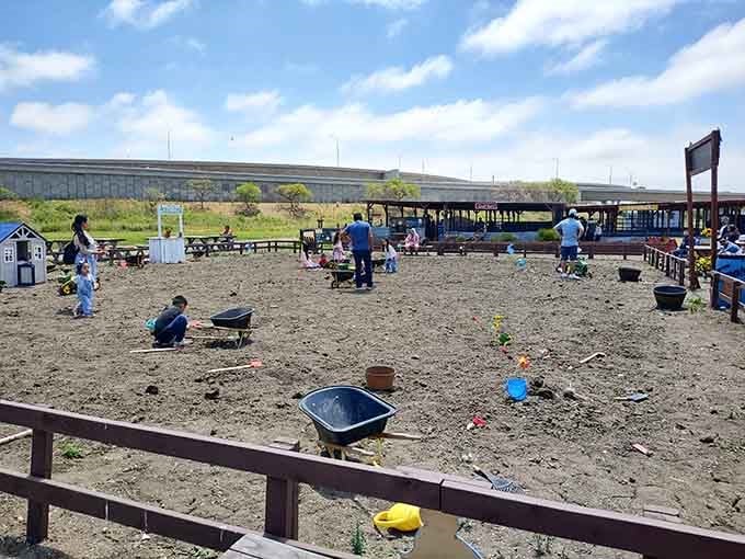 The farm's play area keeps the little ones entertained, because apparently some kids need more than just flowers to stay happy.