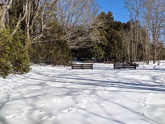 Snow transforms the picnic area into a winter wonderland, proving this park delivers beauty in every single season.