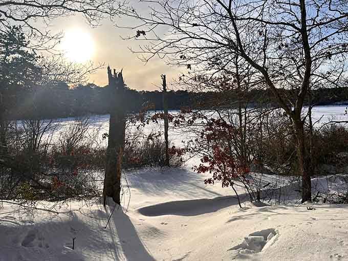 Winter transforms the pond into a serene wonderland that's equally beautiful, just significantly colder for swimming.
