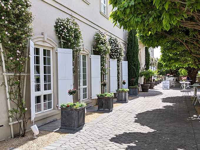 French doors and climbing vines create the kind of walkway that makes you slow down and breathe.