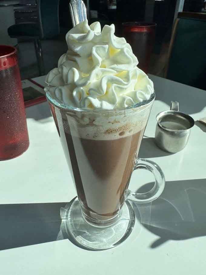 That mountain of whipped cream on hot chocolate suggests someone in the kitchen really understands portion control priorities.