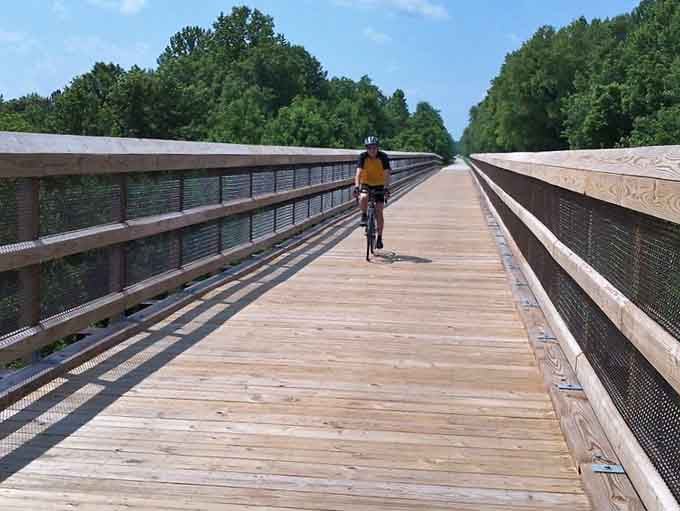Cycling across High Bridge combines the thrill of height with the joy of movement, like flying without leaving the ground.