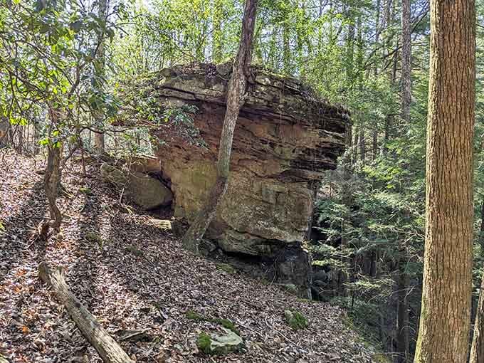 Massive boulders scattered around like a giant's abandoned game of marbles, moss-covered and magnificent throughout the area.