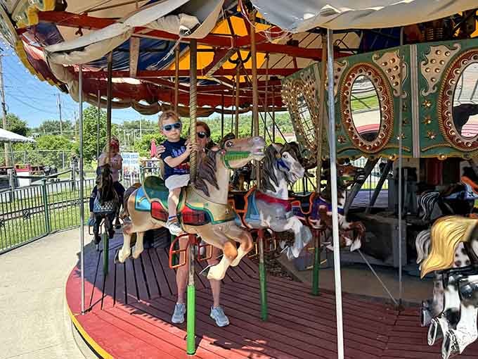 Hand-painted horses circle endlessly, carrying generations of dreamers on a timeless merry-go-round journey that never gets old.
