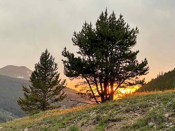 Golden hour hits different when you're standing where prospectors once watched their dreams fade with the sunset.