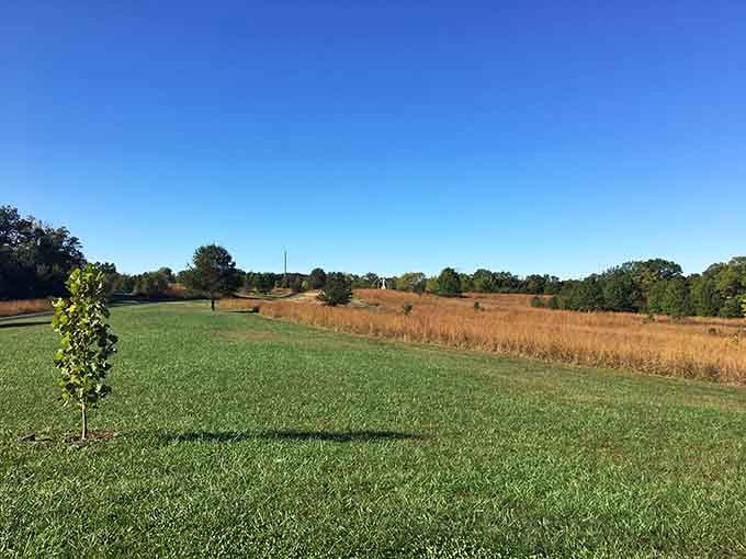 Wide open fields give kids room to run wild without parents worrying they'll disappear into the next county.