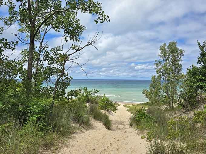 The trail through the trees opens up to reveal Lake Michigan like nature's own curtain call moment.