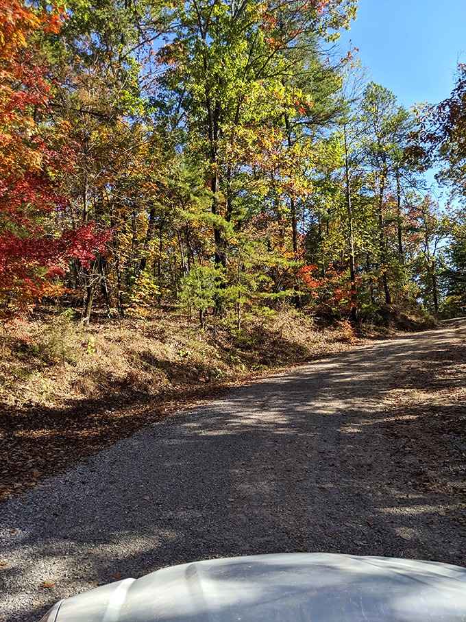 That gravel road leading to the trailhead—your last taste of civilization before the real adventure kicks in.