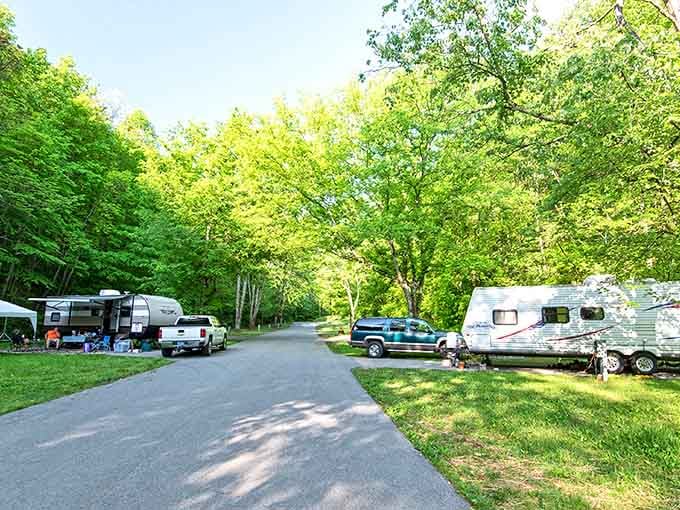 The campground where RVs nestle under a canopy so green it looks professionally color-corrected.