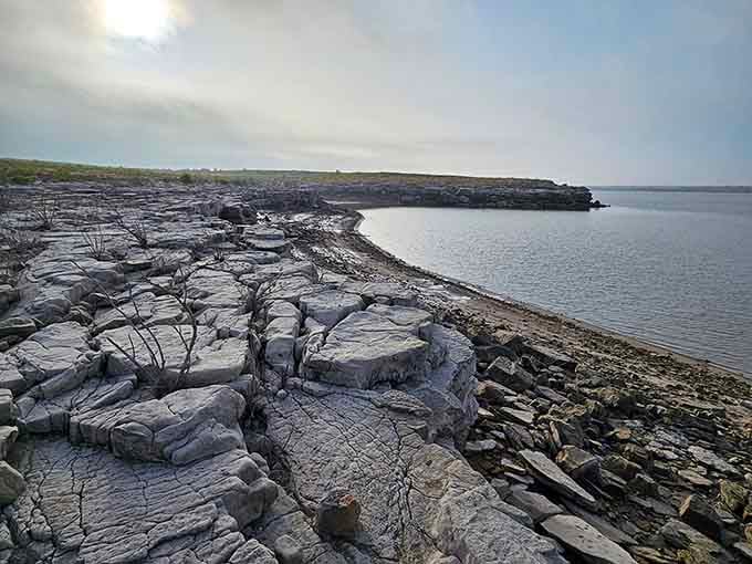 Cracked earth tells stories of drought and resilience, nature's own reminder that everything changes with seasons.