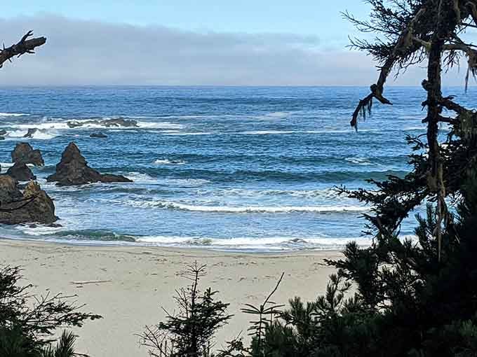 The kind of coastal scenery that makes you forget about checking your phone for a few blessed hours.