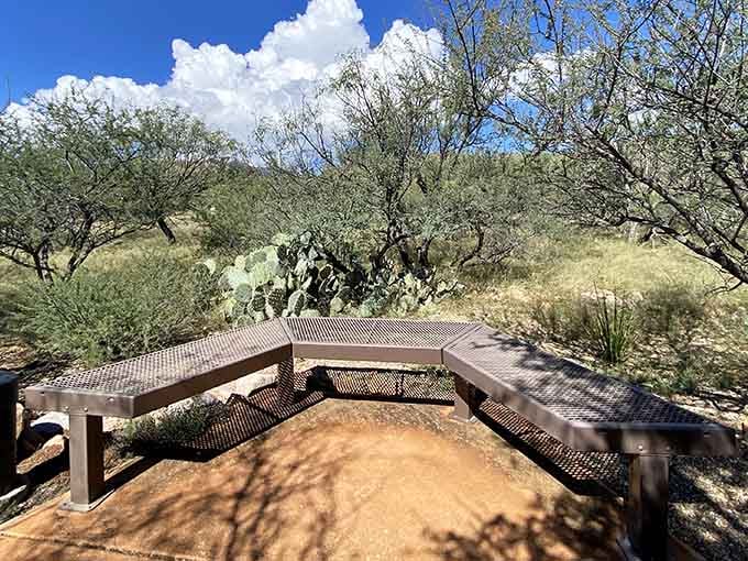 Trail benches positioned perfectly for contemplating life's mysteries while catching your breath from the hike.