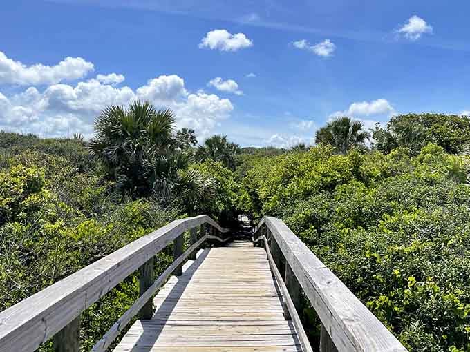 Elevated boardwalks through coastal vegetation: nature's way of giving you the VIP tour without getting your feet sandy yet.