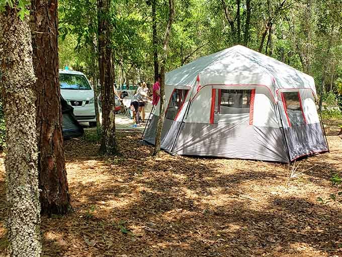 Camping here means waking up steps away from paradise. Your tent has never had better neighbors than these trees.