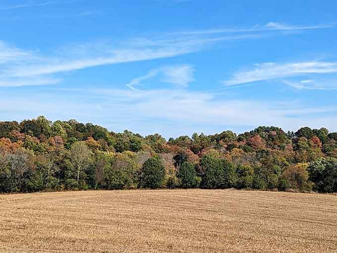 Kentucky countryside in fall colors that remind you why people write songs about places like this all the time.