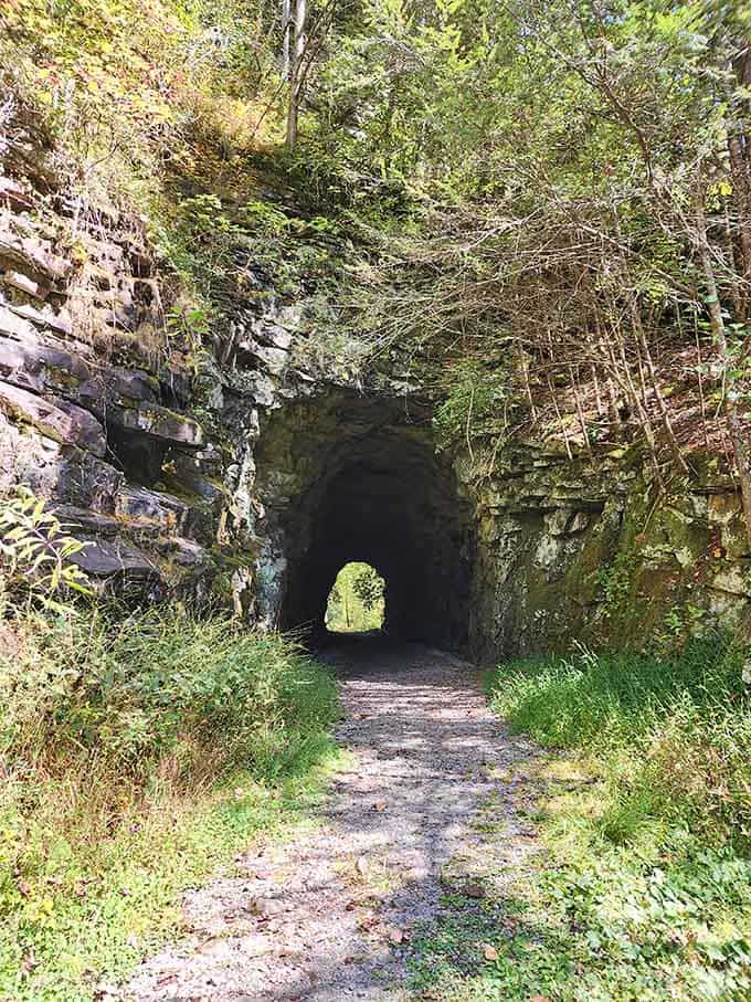 This historic tunnel cuts through the mountainside, offering cool shade and the perfect excuse to make echo sounds.