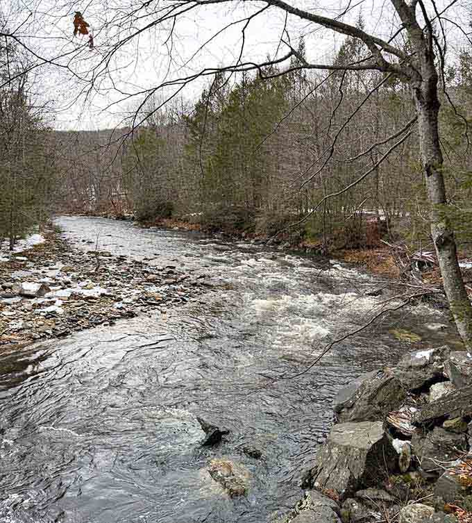 Winter transforms the river into something from a Currier and Ives print, minus the horse-drawn sleighs.