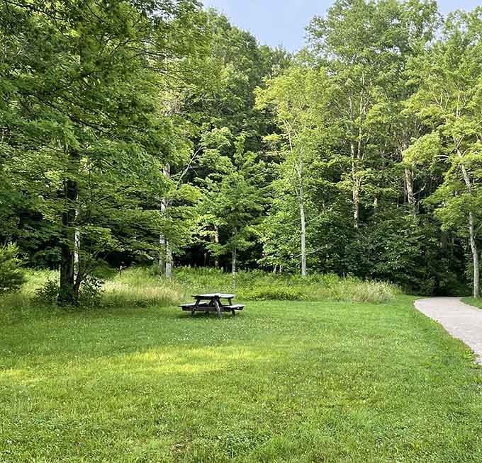 Peaceful trails where the only traffic jam involves deciding which shaded path looks more inviting for your stroll.